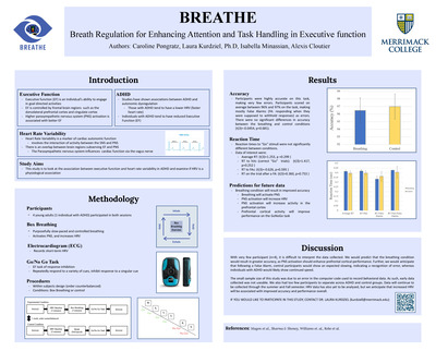 "Breath Regulation for Enhancing Attention and Task Handling in Executi ...