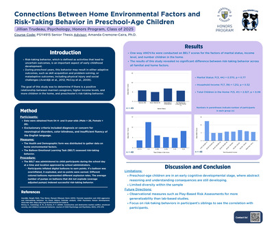"Connections Between Home Environmental Factors and Risk-Taking Behavio ...